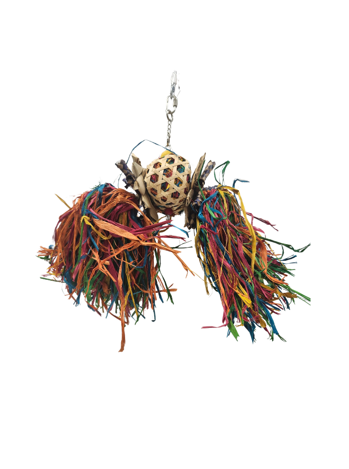 NJ Afro Drum – Parrot Supplies Australia