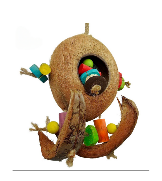 NJ Coco Surf – Parrot Supplies Australia