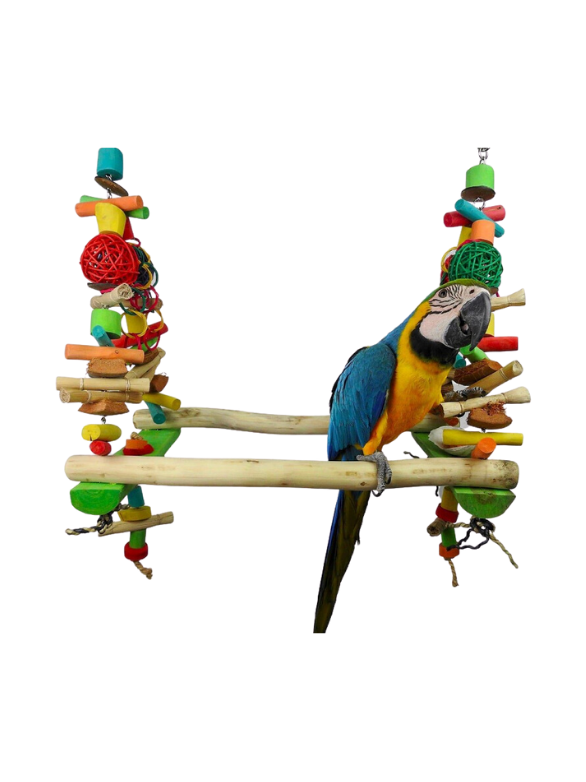 NJ Java Bridge – Parrot Supplies Australia